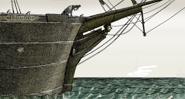 Whale - Net Languages